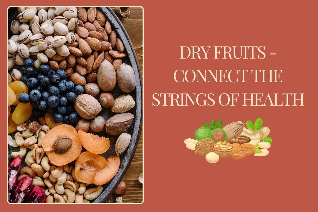 Dry Fruits - Connect The Strings Of Health - Healthy Master