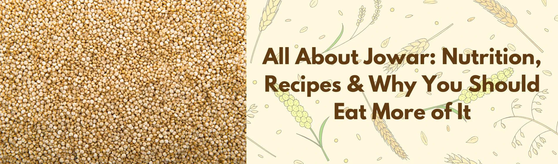 What is Jowar? Jowar Nutrition Facts, Health Benefits & Delicious Mill ...